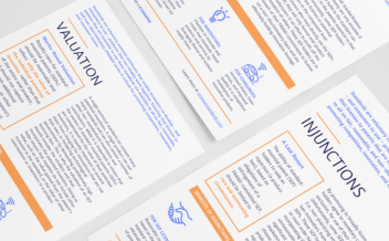 Injunctions - Save Our Standards